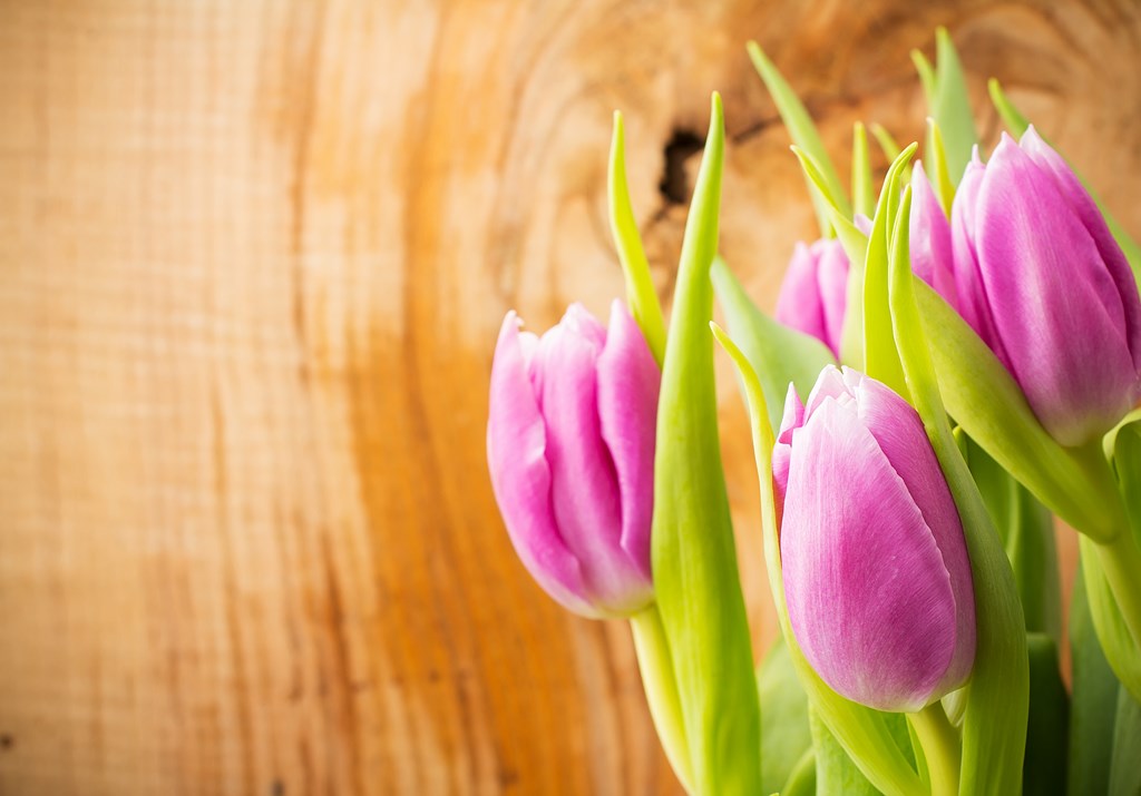 Sandra Ganz - Praxis für Systemische Psychotherapie & Hochsensibilität ...